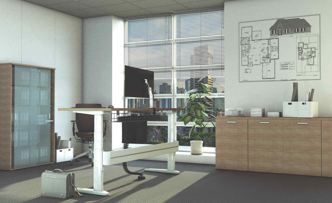 Ergo Essentials by Evergreen Collective | Shop Ergonomic Office Chairs